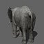 3d Model Elephant Rig