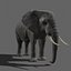3d Model Elephant Rig