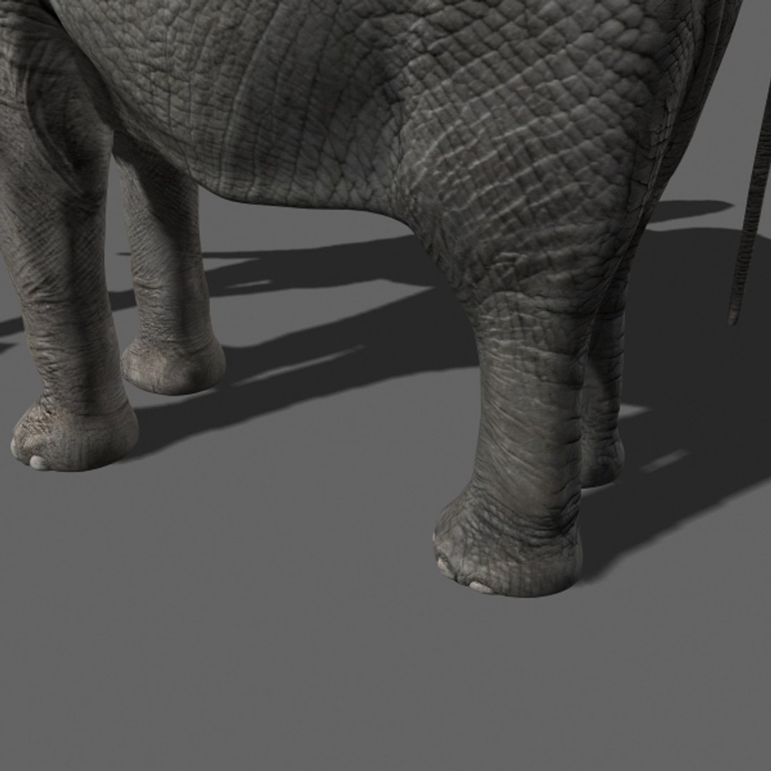 3d Model Elephant Rig