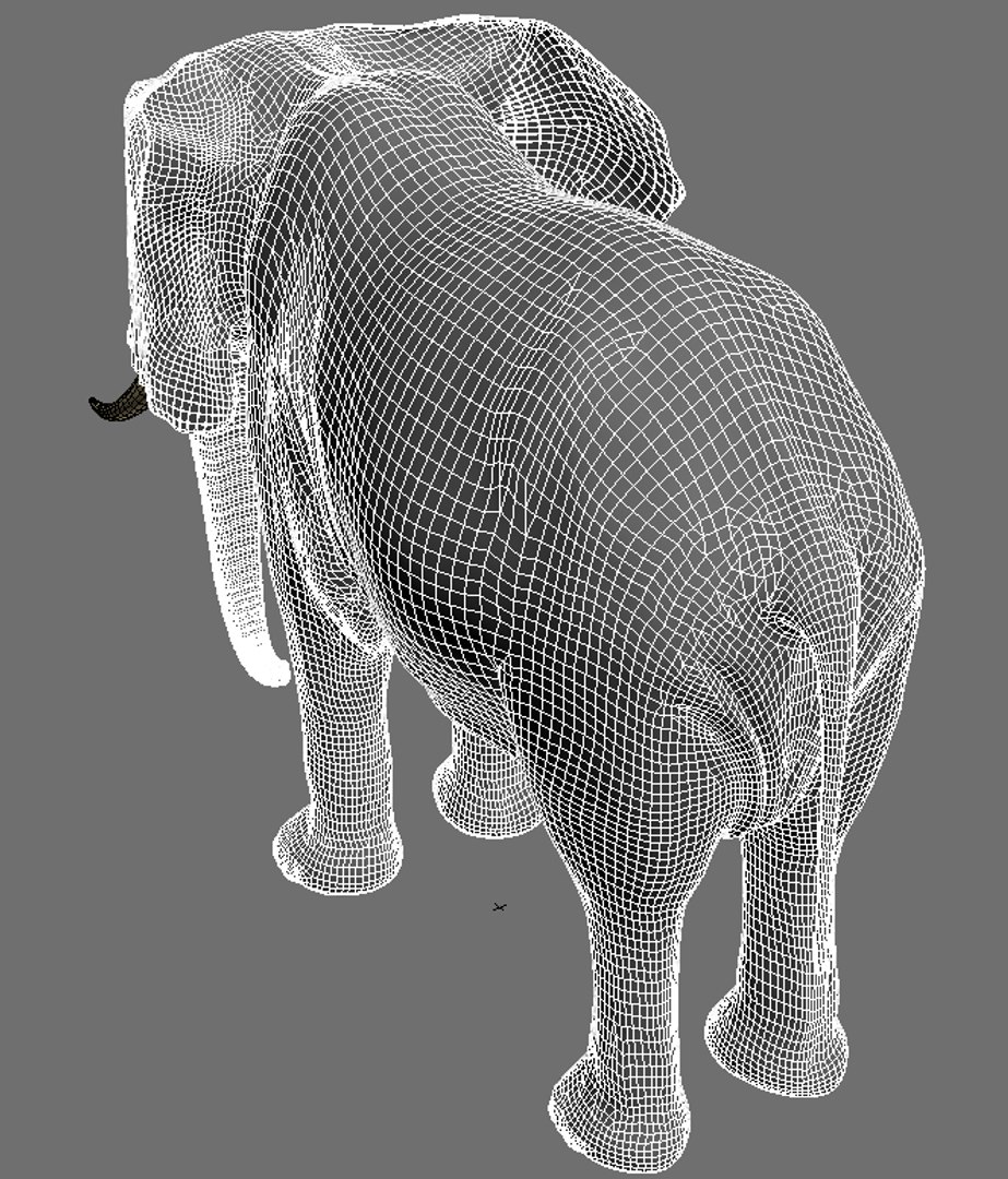 3d Model Elephant Rig
