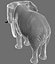 3d Model Elephant Rig