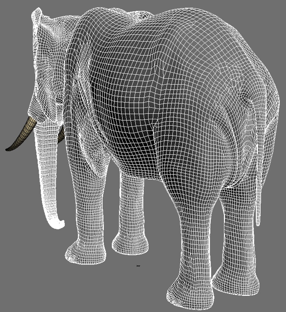 3d Model Elephant Rig