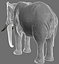 3d Model Elephant Rig