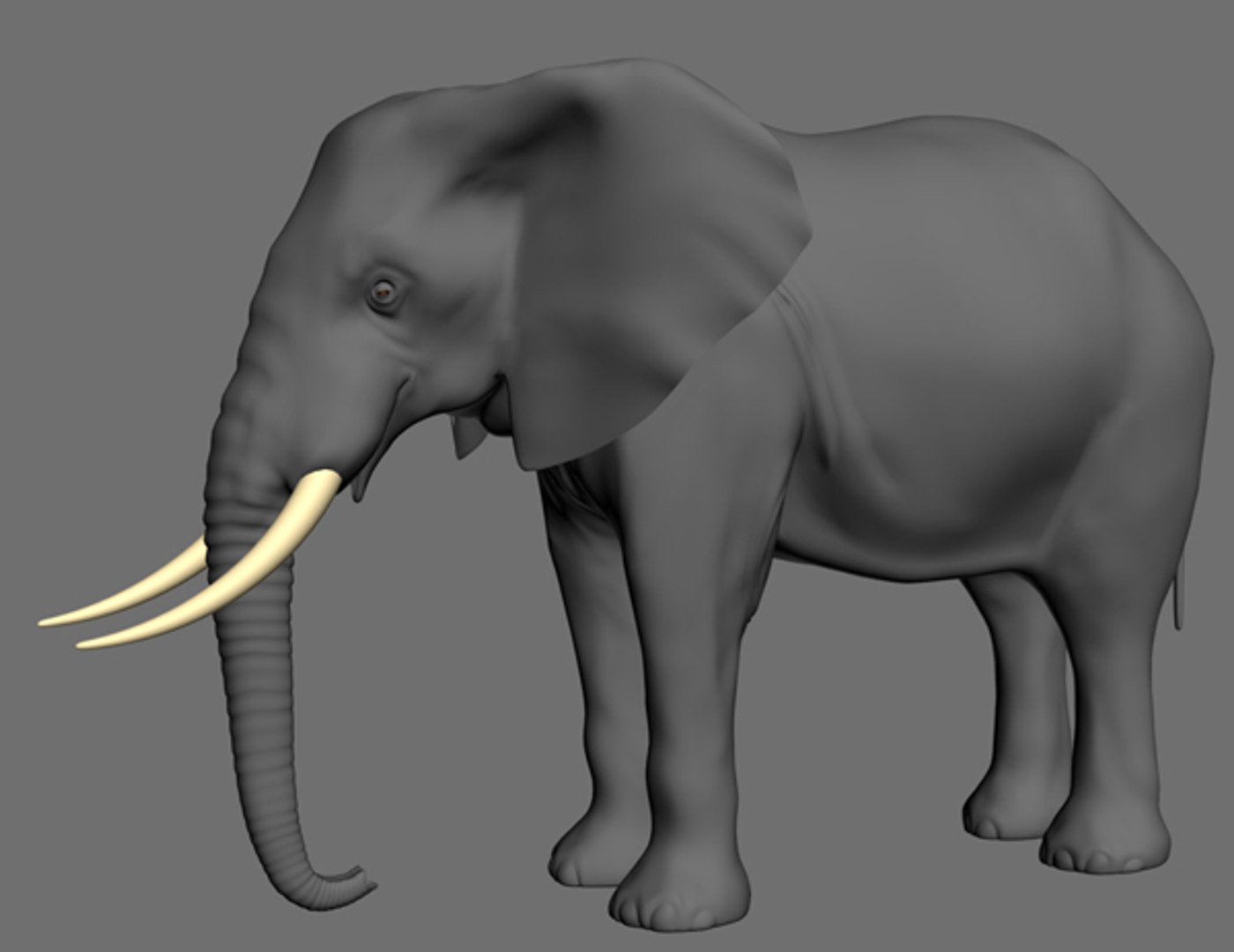 3d Model Elephant Rig
