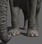 3d Model Elephant Rig