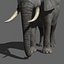 3d Model Elephant Rig