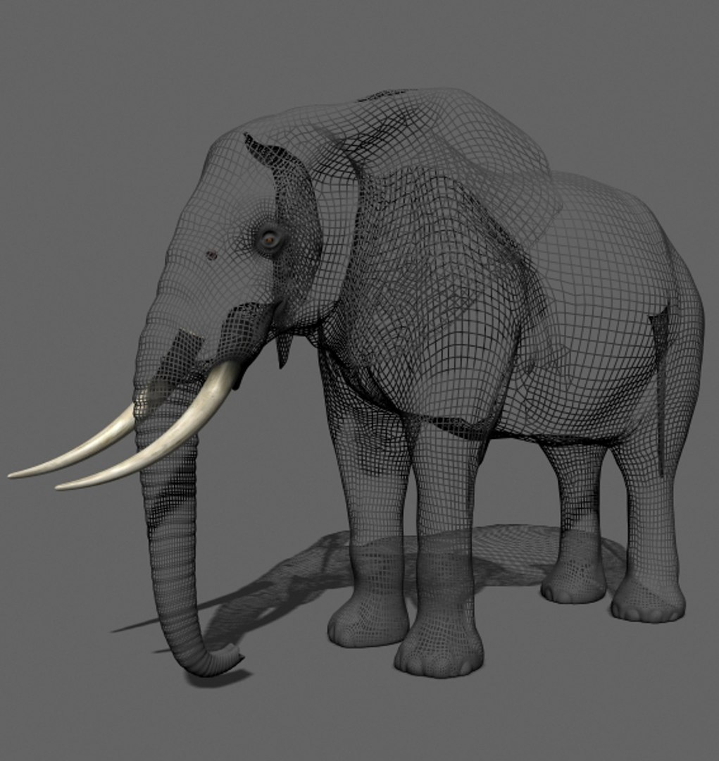 3d Model Elephant Rig