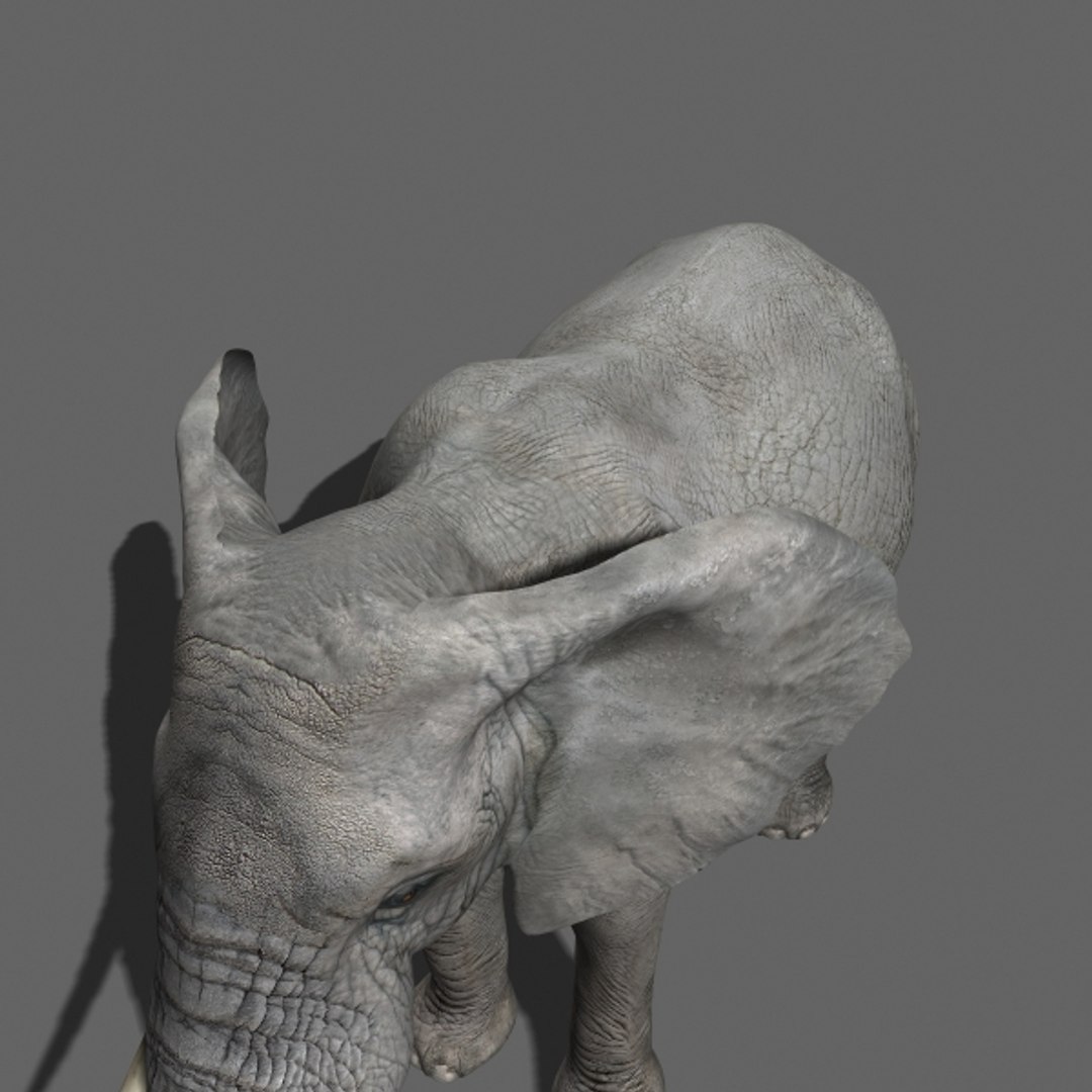 3d Model Elephant Rig