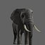 3d Model Elephant Rig