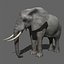 3d Model Elephant Rig