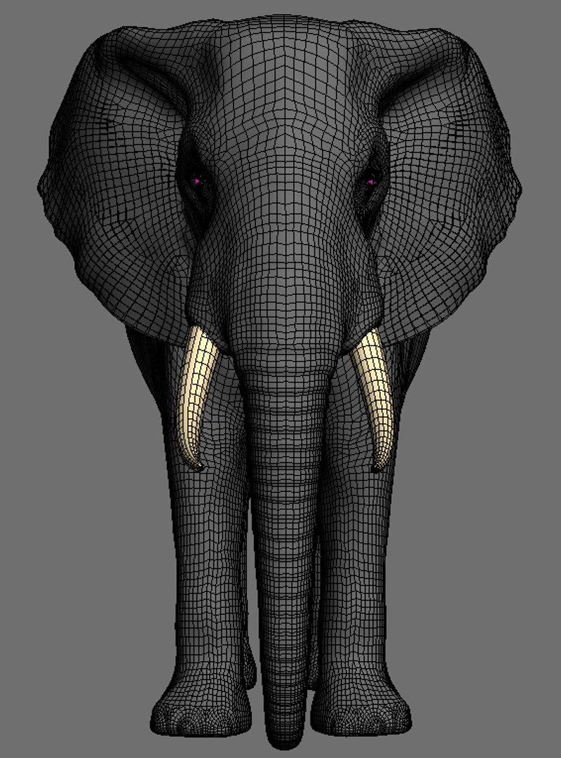 3d Model Elephant Rig