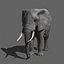 3d Model Elephant Rig