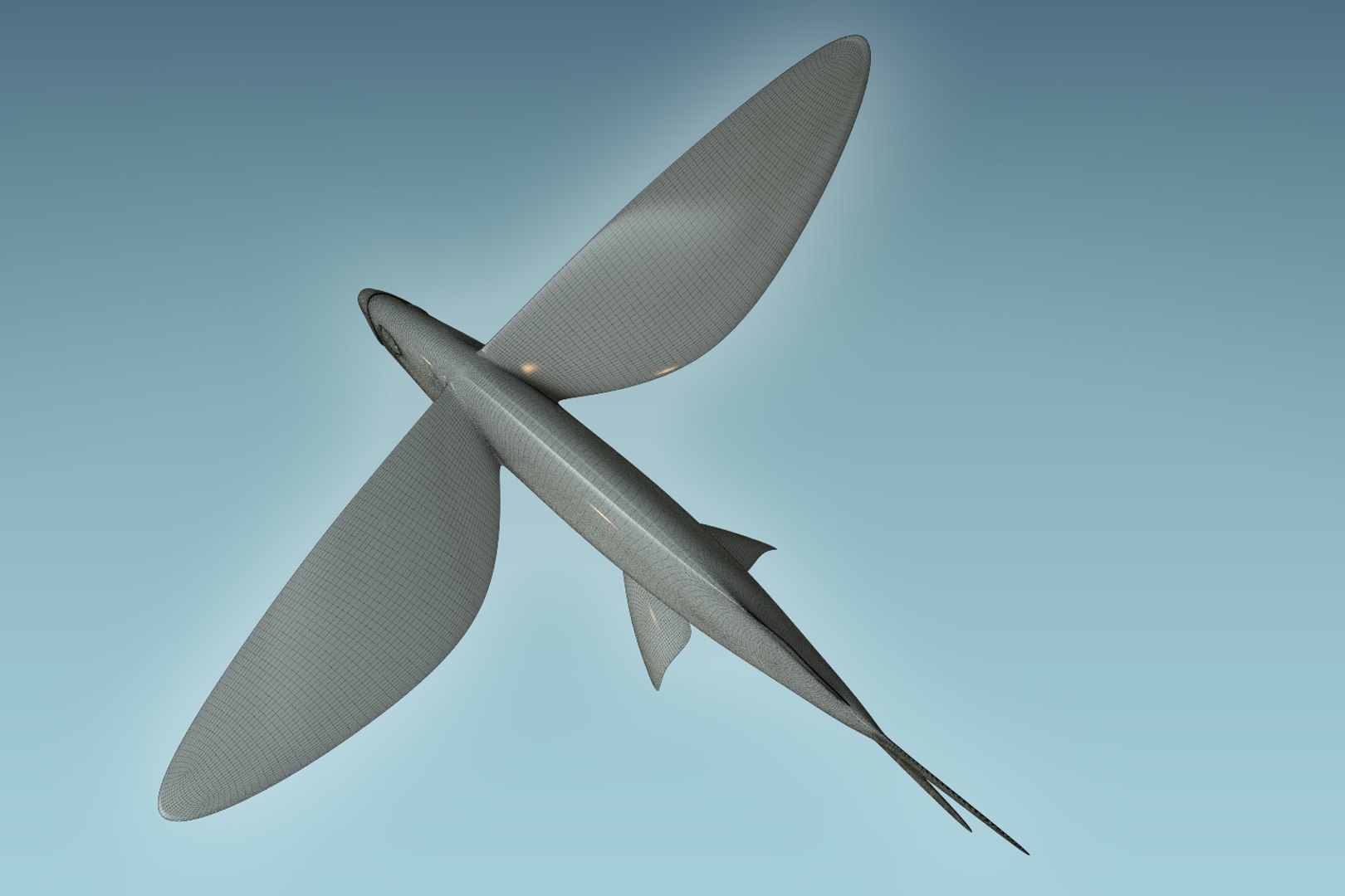 Atlantic flying fish 3D - TurboSquid 1202854