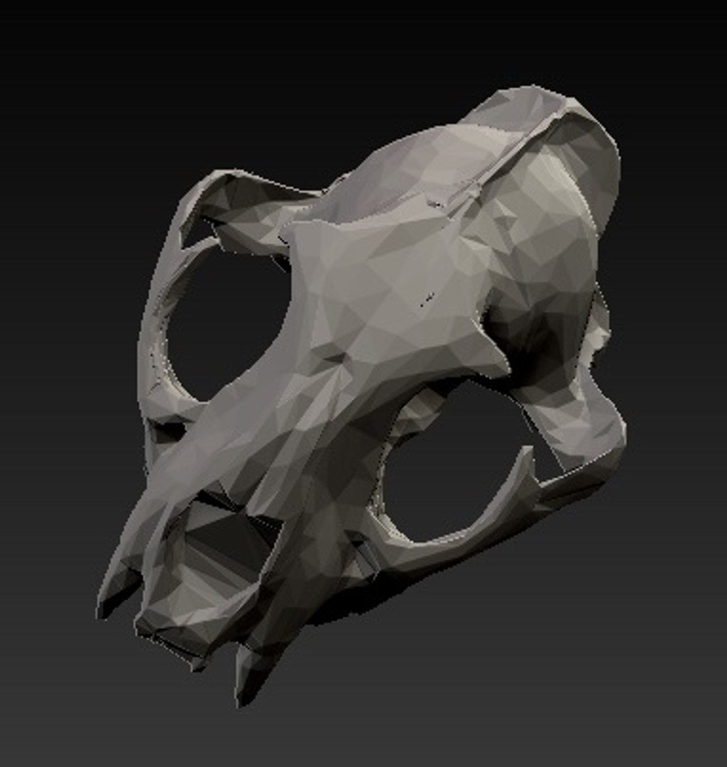 3d Cat Skull Model