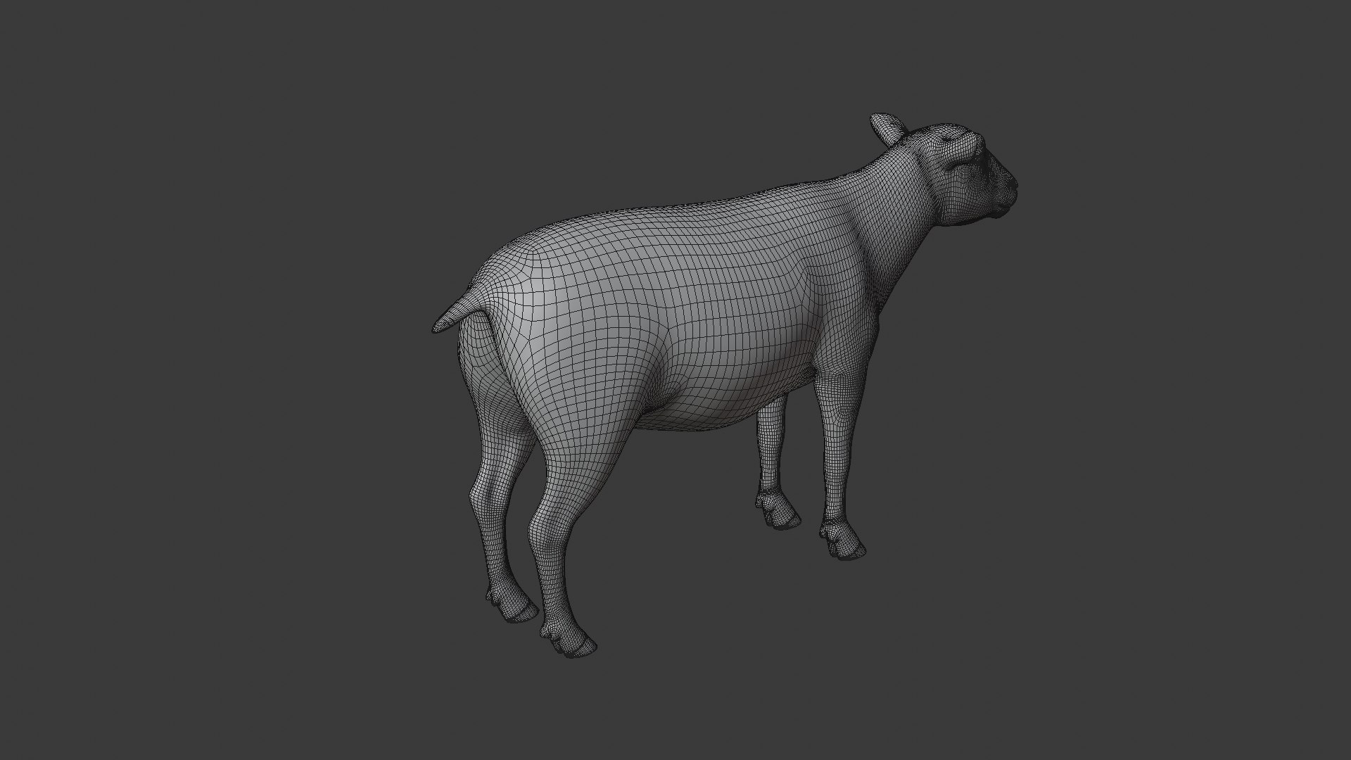 Sheep Animation 3D - TurboSquid 1590272