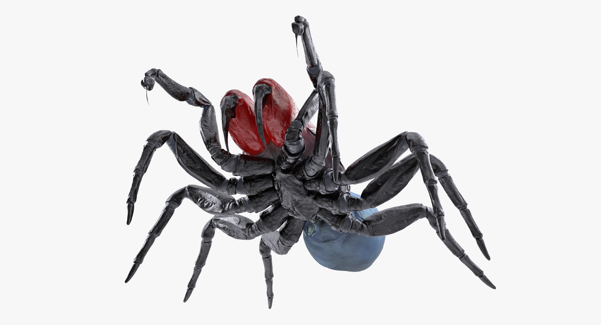 Mouse spider fighting pose 3D model - TurboSquid 1165850