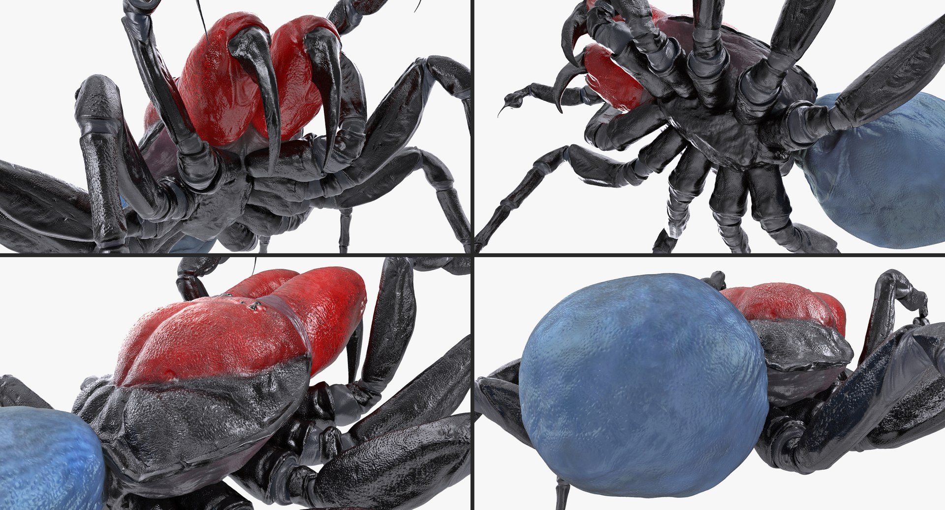 Mouse spider fighting pose 3D model - TurboSquid 1165850