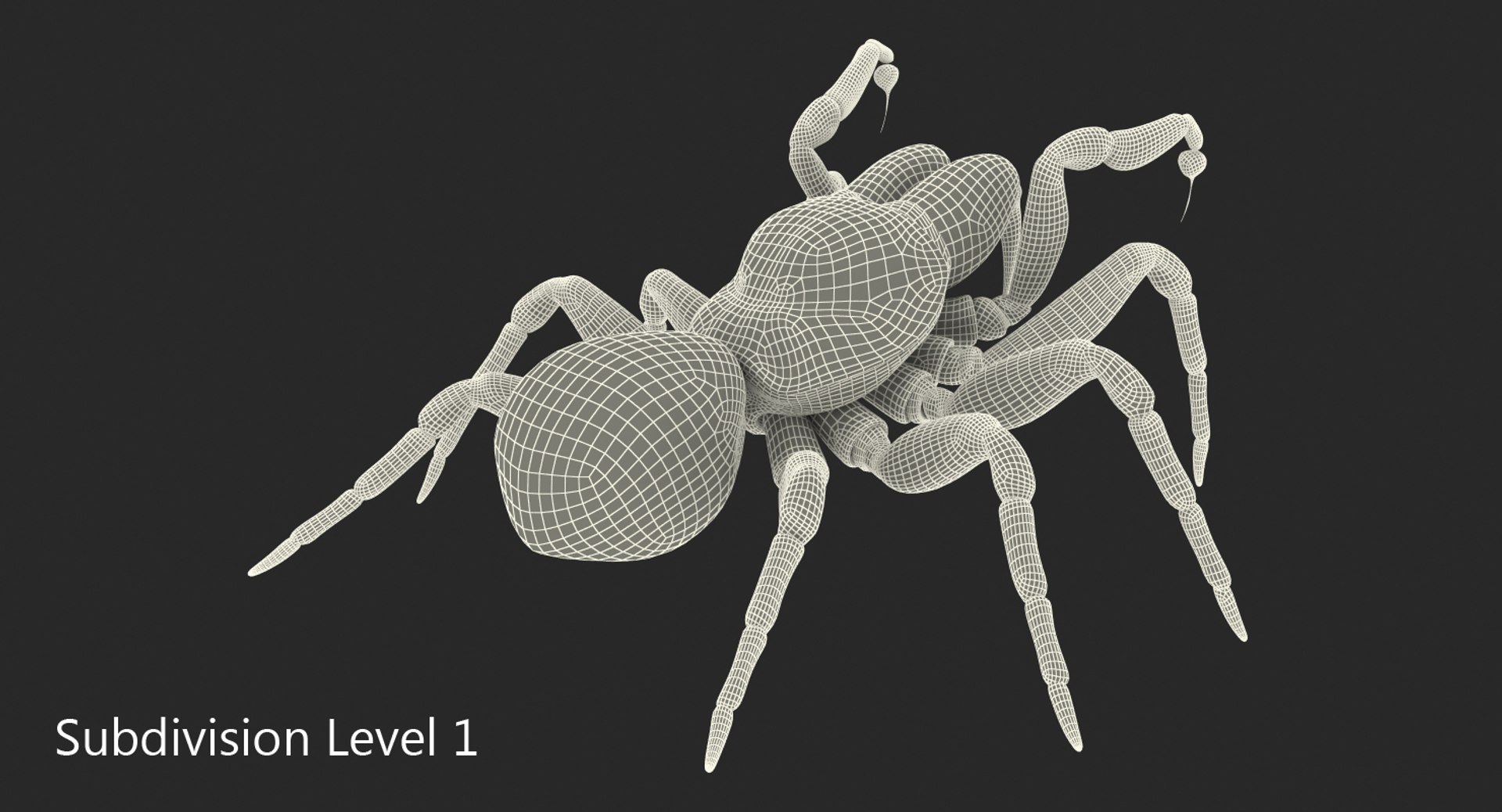 Mouse spider fighting pose 3D model - TurboSquid 1165850
