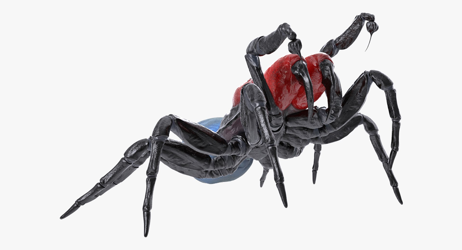 Mouse spider fighting pose 3D model - TurboSquid 1165850