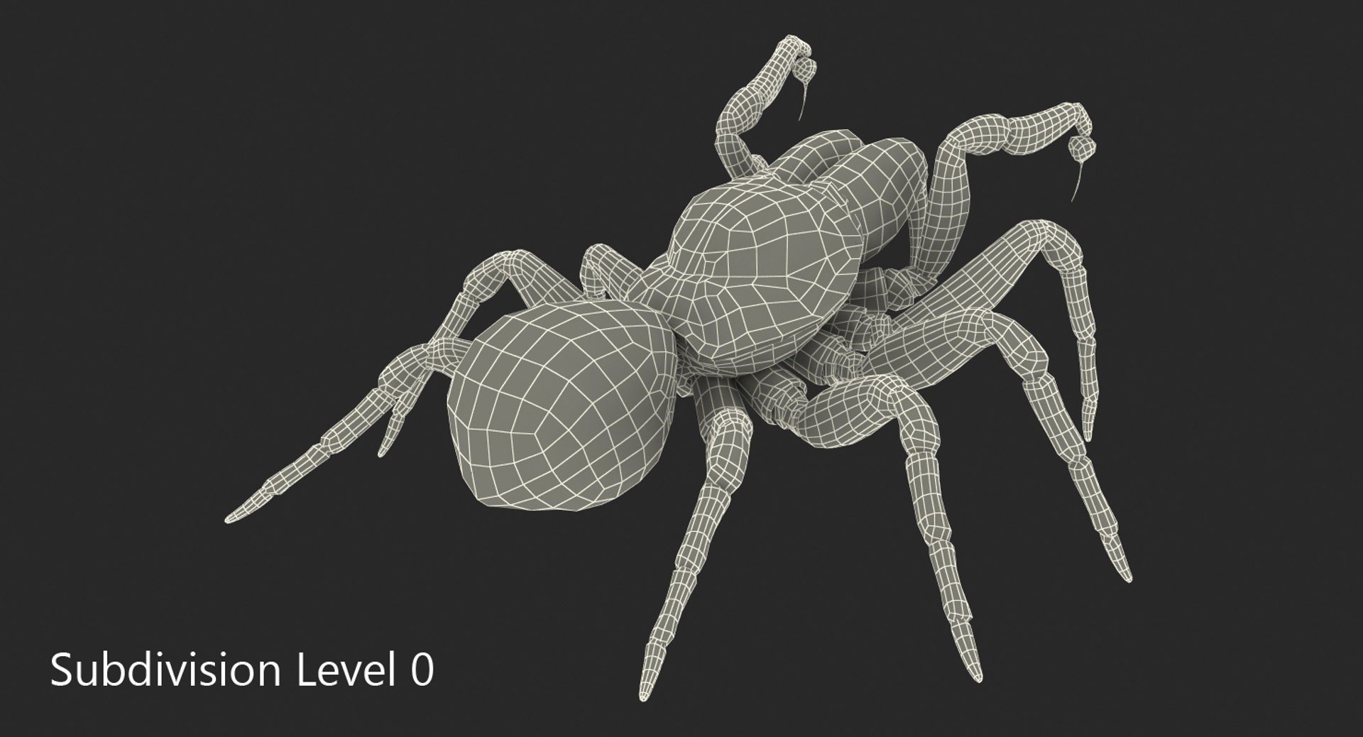 Mouse spider fighting pose 3D model - TurboSquid 1165850