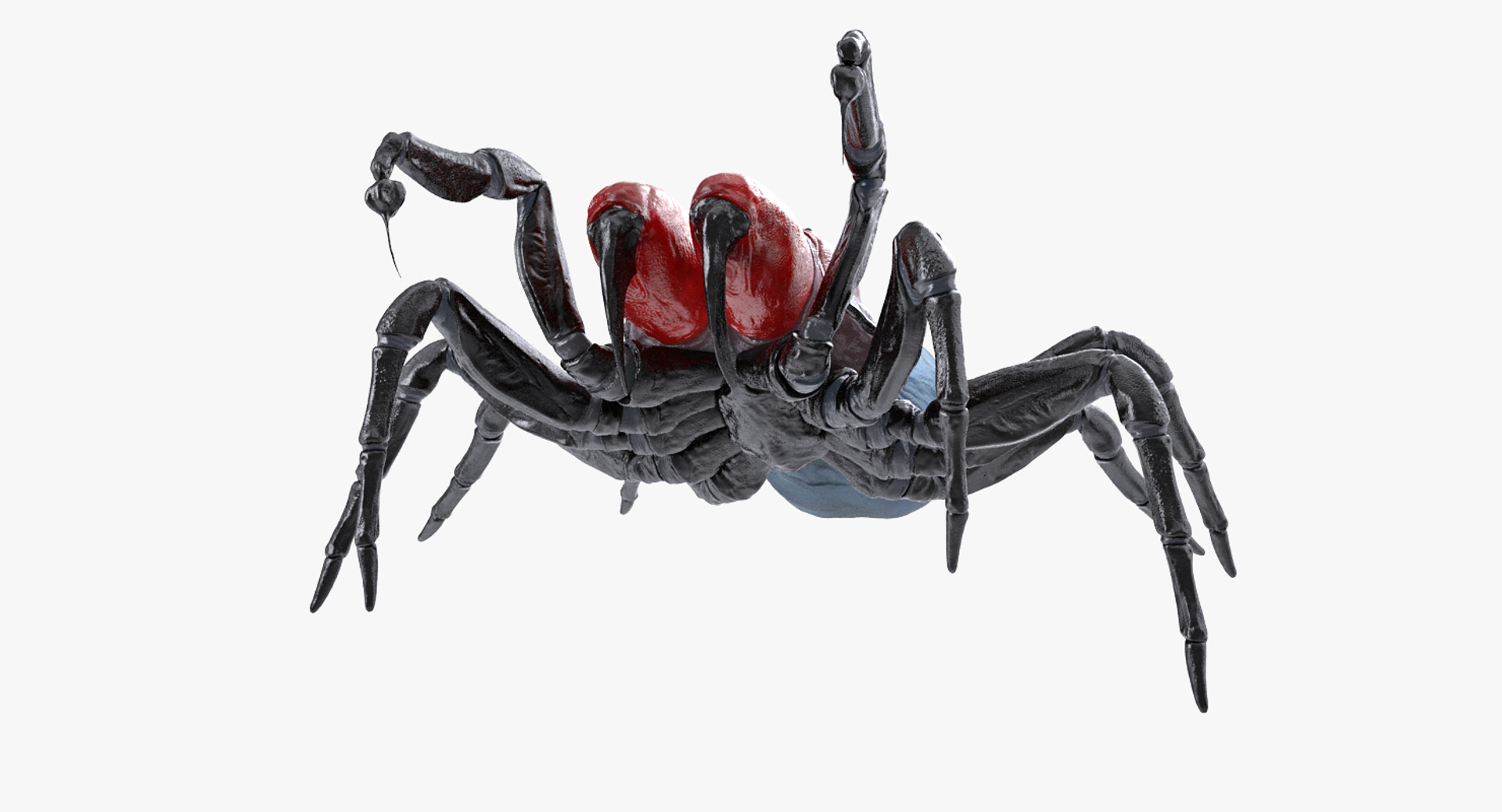 Mouse spider fighting pose 3D model - TurboSquid 1165850
