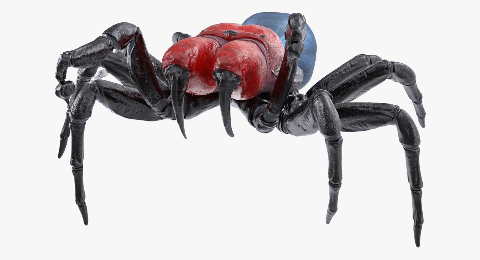 Mouse spider fighting pose 3D model - TurboSquid 1165850