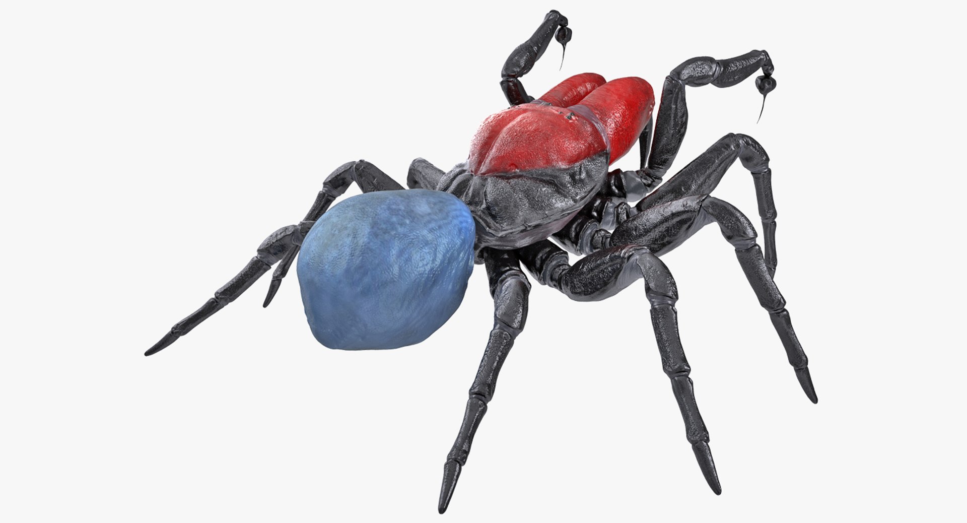 Mouse spider fighting pose 3D model - TurboSquid 1165850