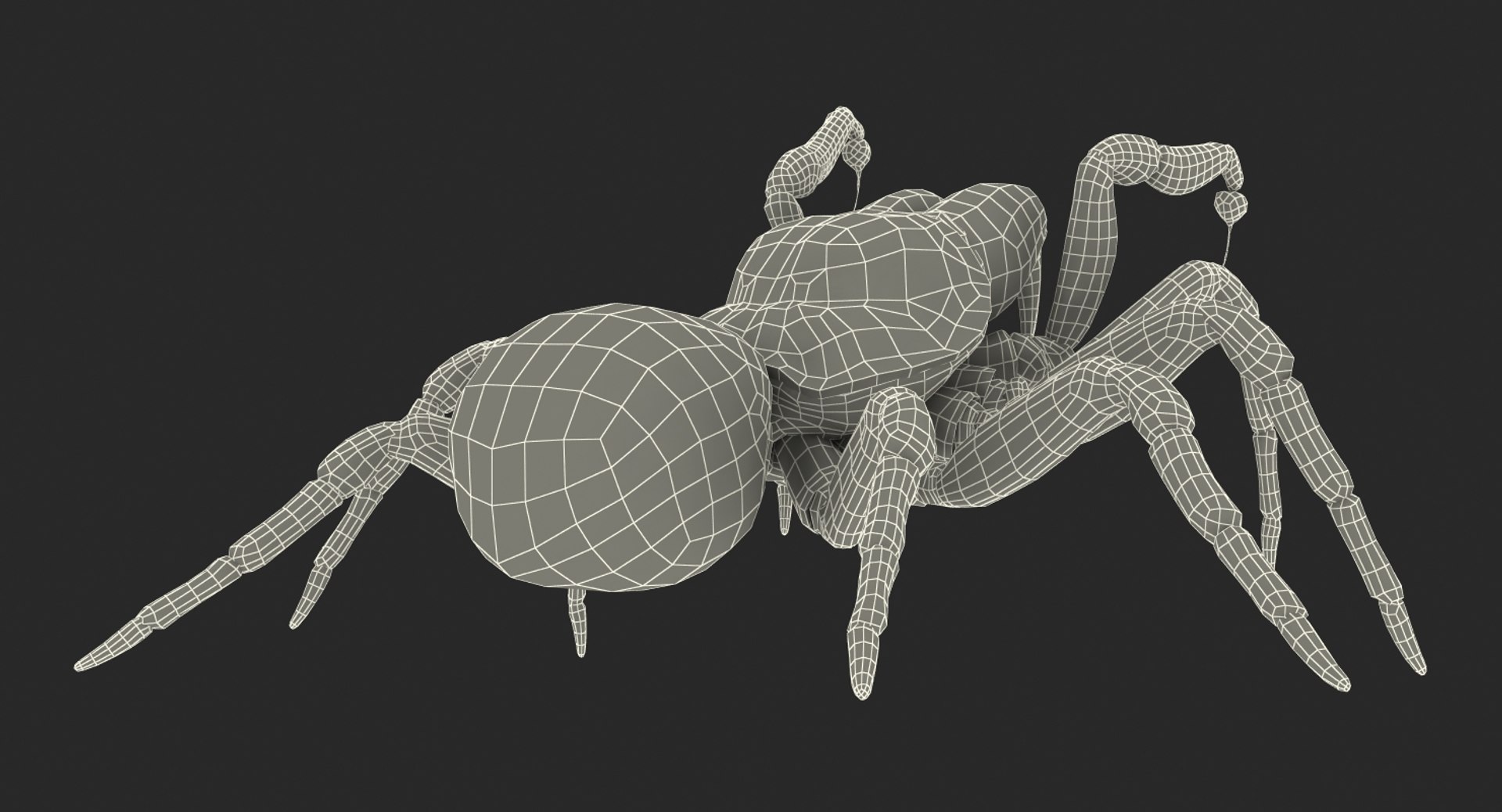 Mouse spider fighting pose 3D model - TurboSquid 1165850