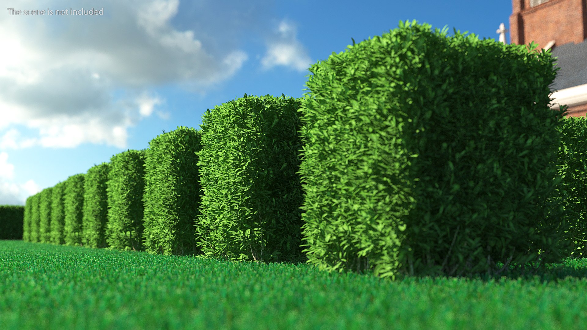 Boxwood Bush Square 3D - TurboSquid 1574958