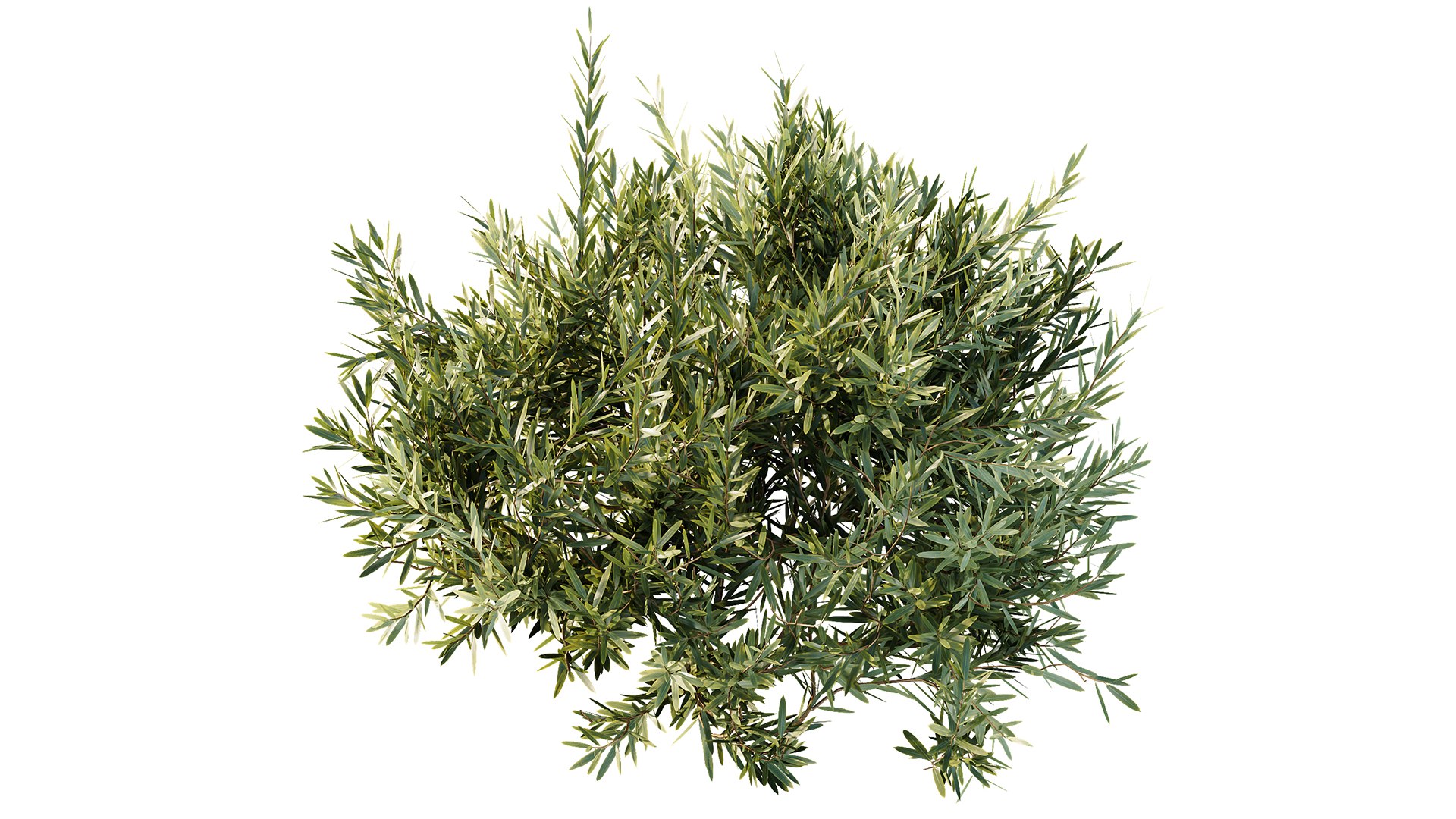 6 Different SETS Of Bush SET VOL16 3D Model - TurboSquid 2154203