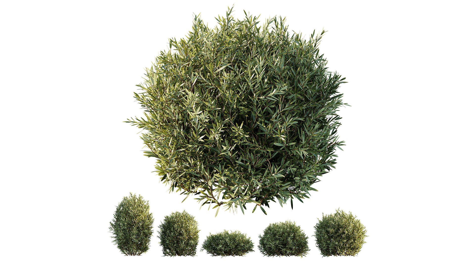 6 Different SETS Of Bush SET VOL16 3D Model - TurboSquid 2154203
