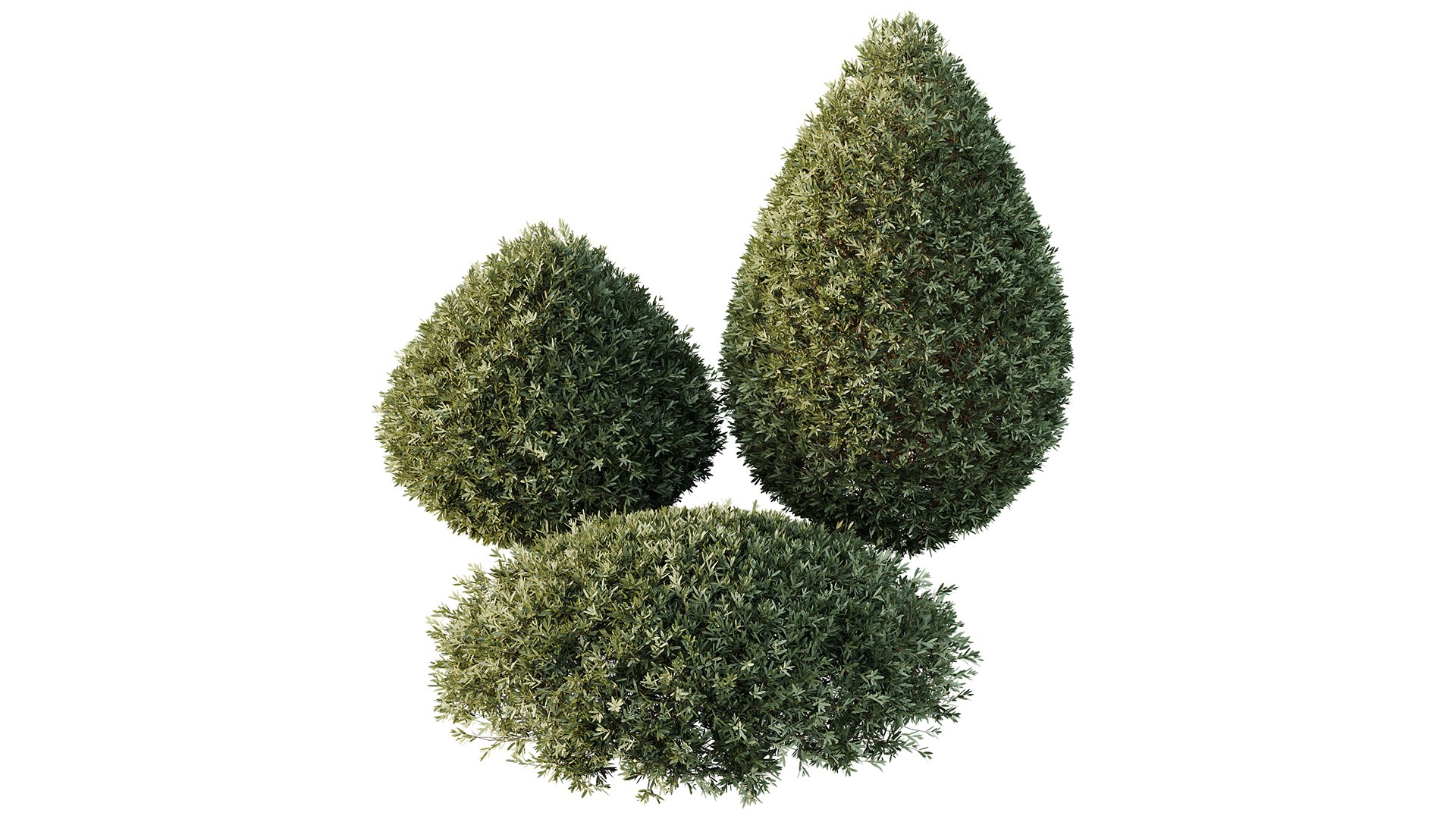 6 Different SETS Of Bush SET VOL16 3D Model - TurboSquid 2154203