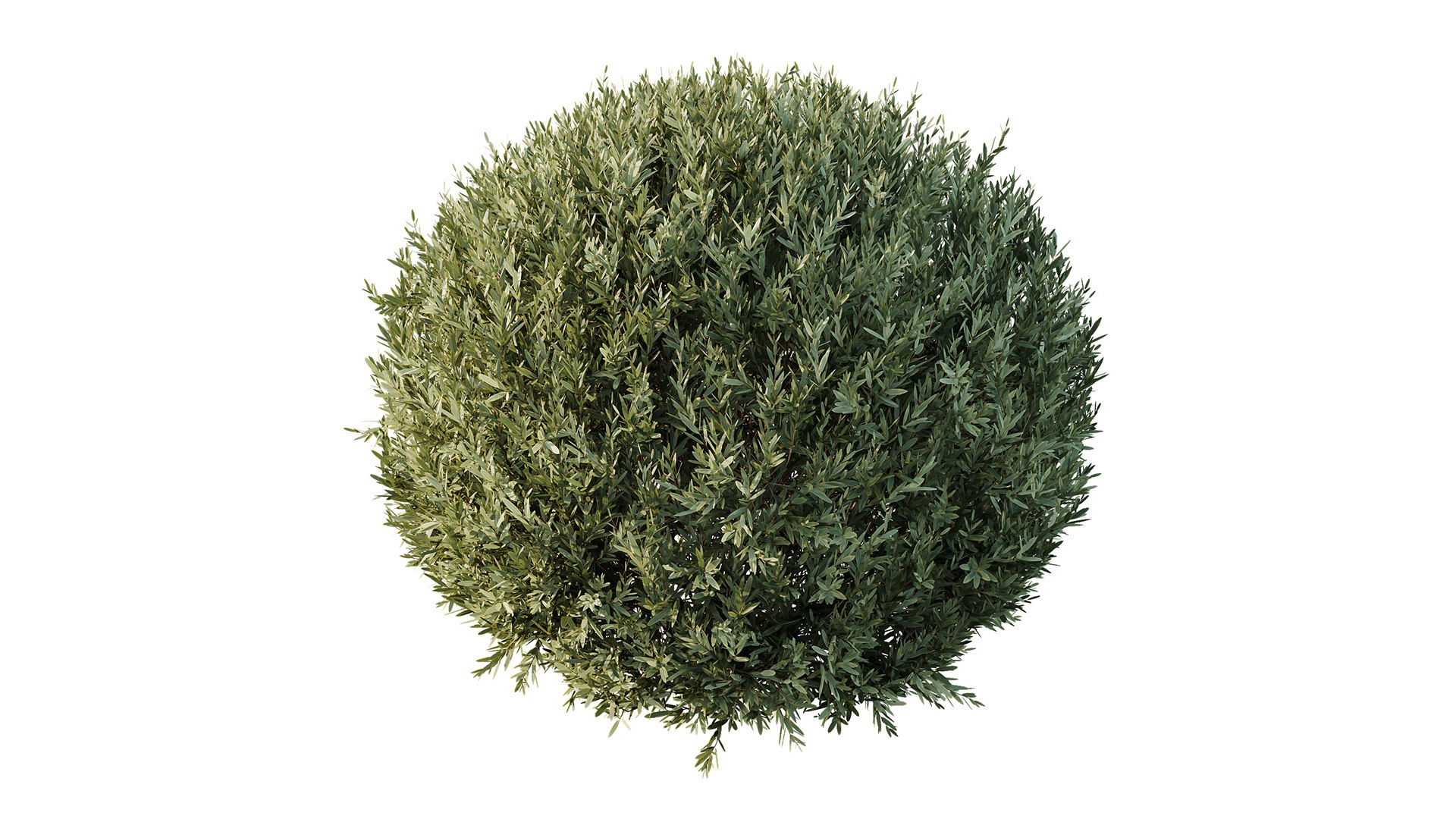 6 Different SETS Of Bush SET VOL16 3D Model - TurboSquid 2154203