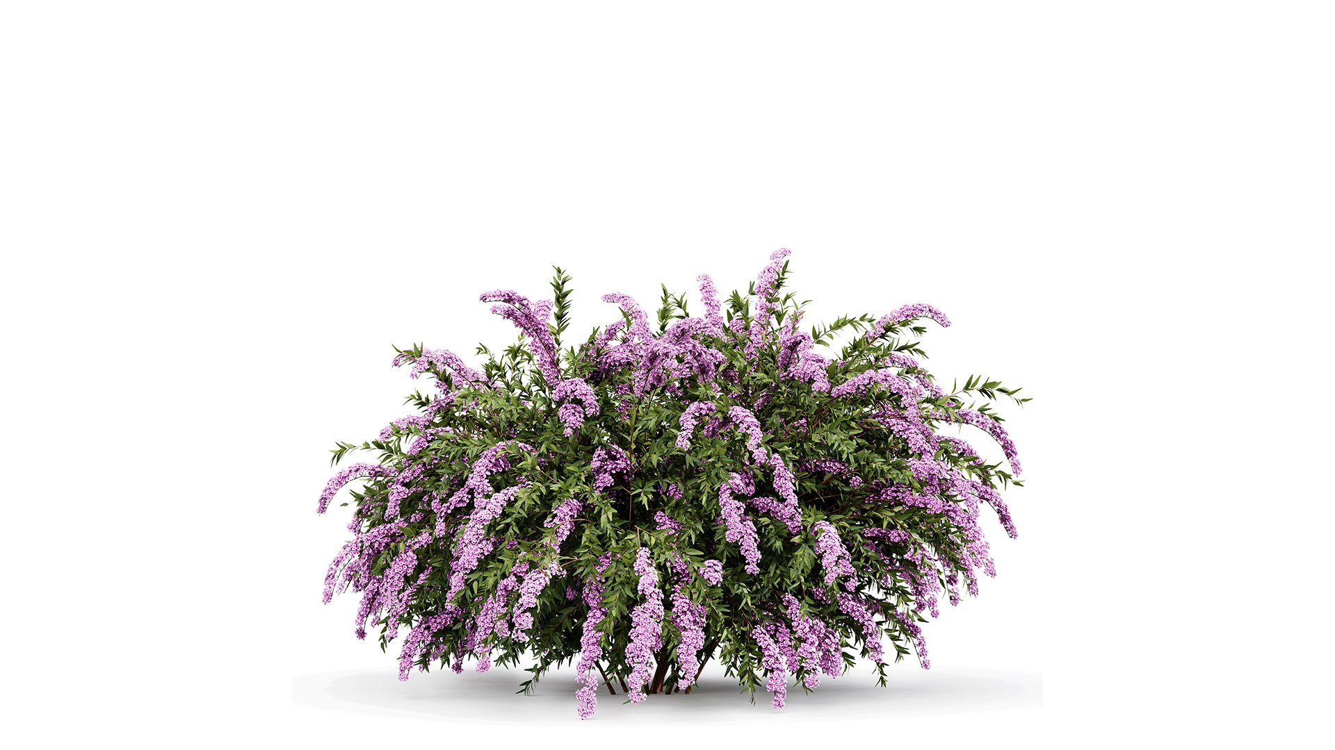 6 Different SETS Of Bush SET VOL16 3D Model - TurboSquid 2154203