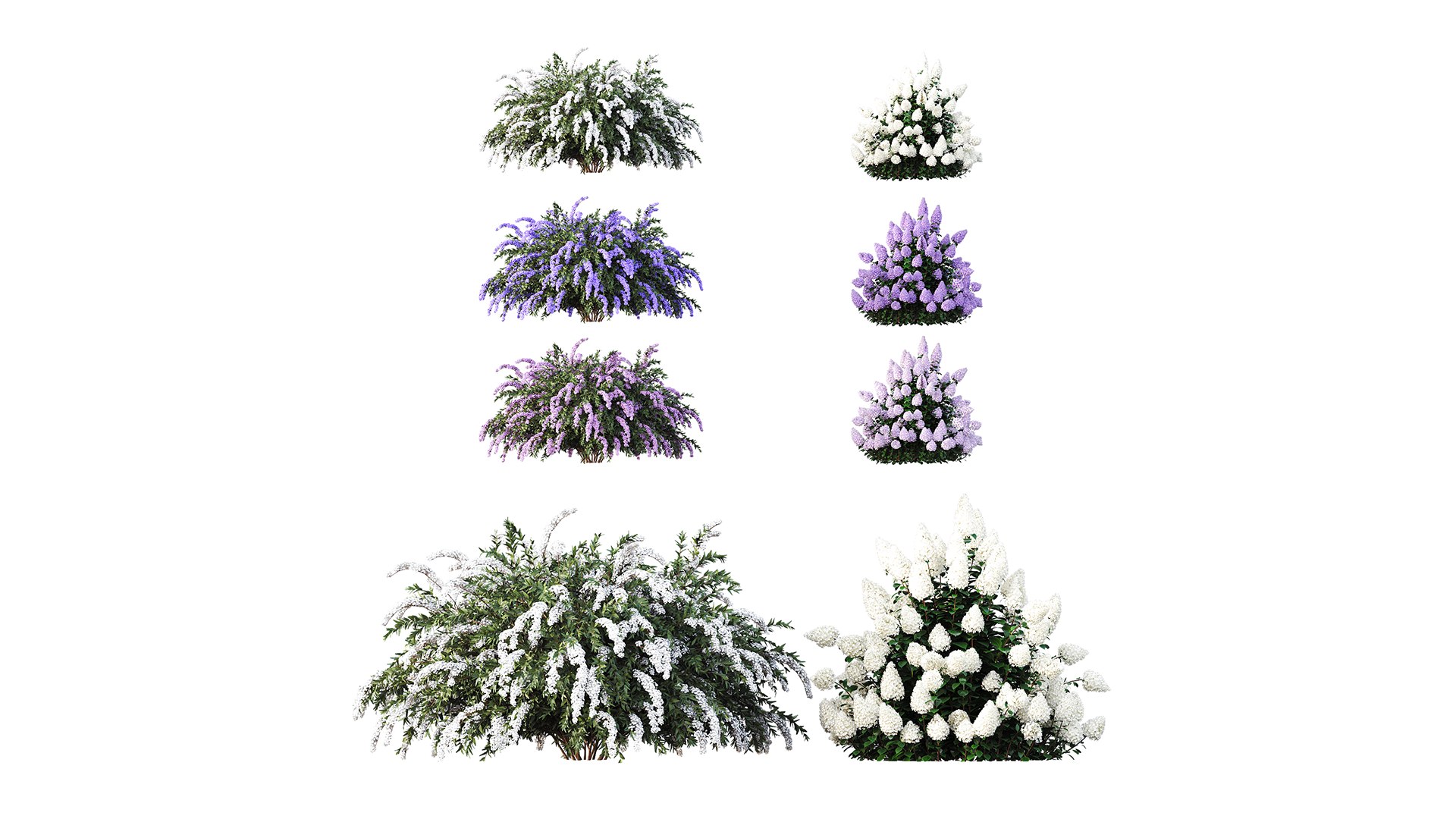 6 Different SETS Of Bush SET VOL16 3D Model - TurboSquid 2154203