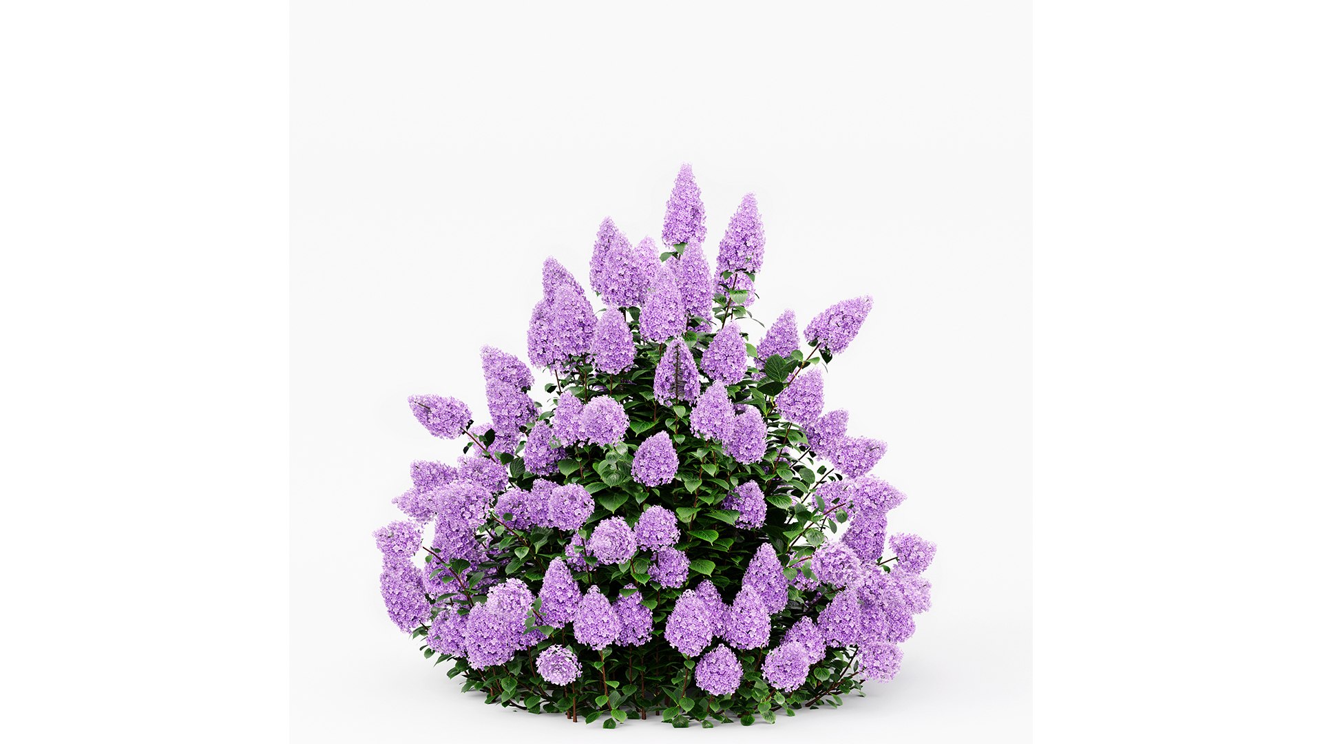 6 Different SETS Of Bush SET VOL16 3D Model - TurboSquid 2154203
