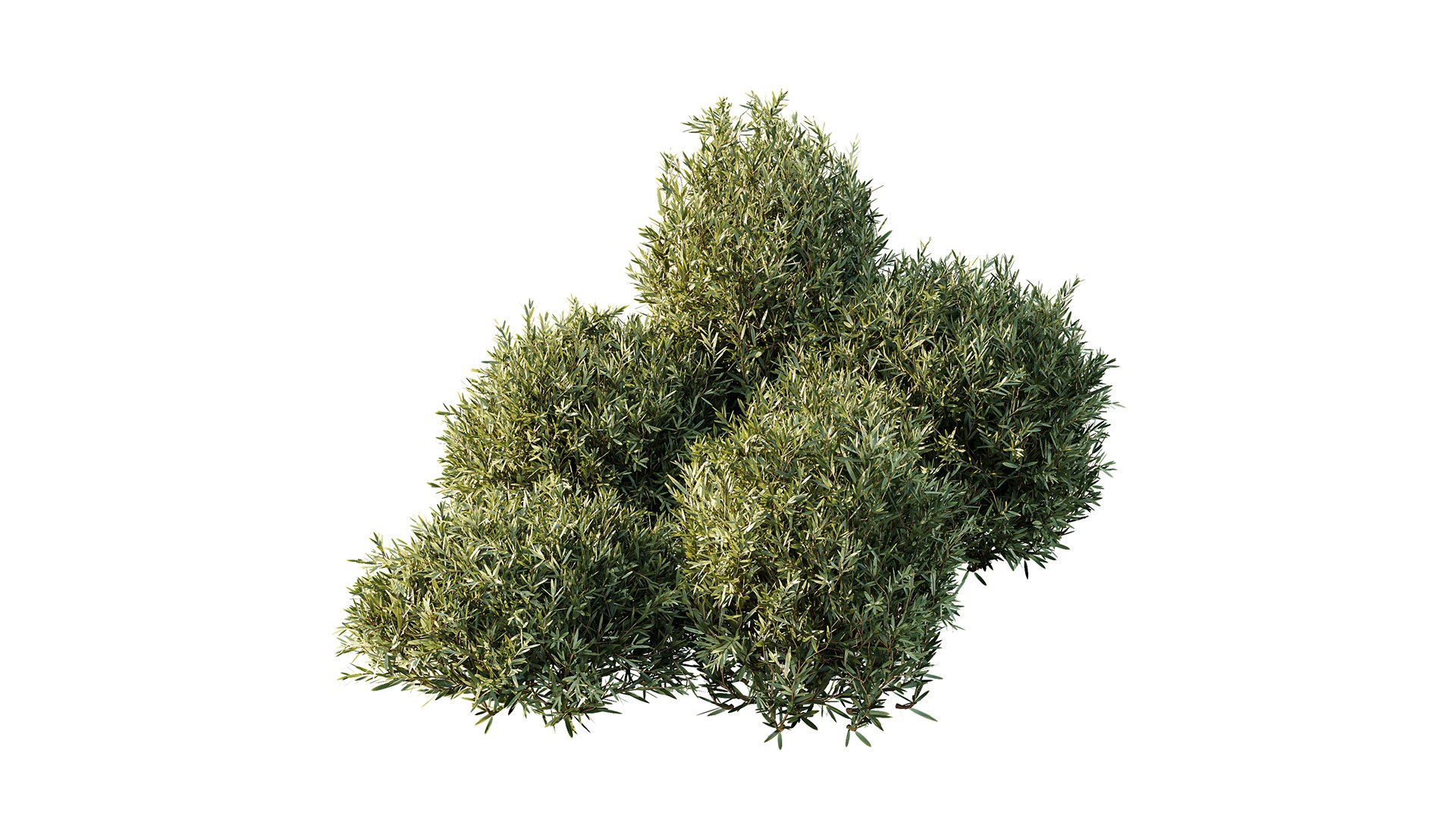 6 Different SETS Of Bush SET VOL16 3D Model - TurboSquid 2154203