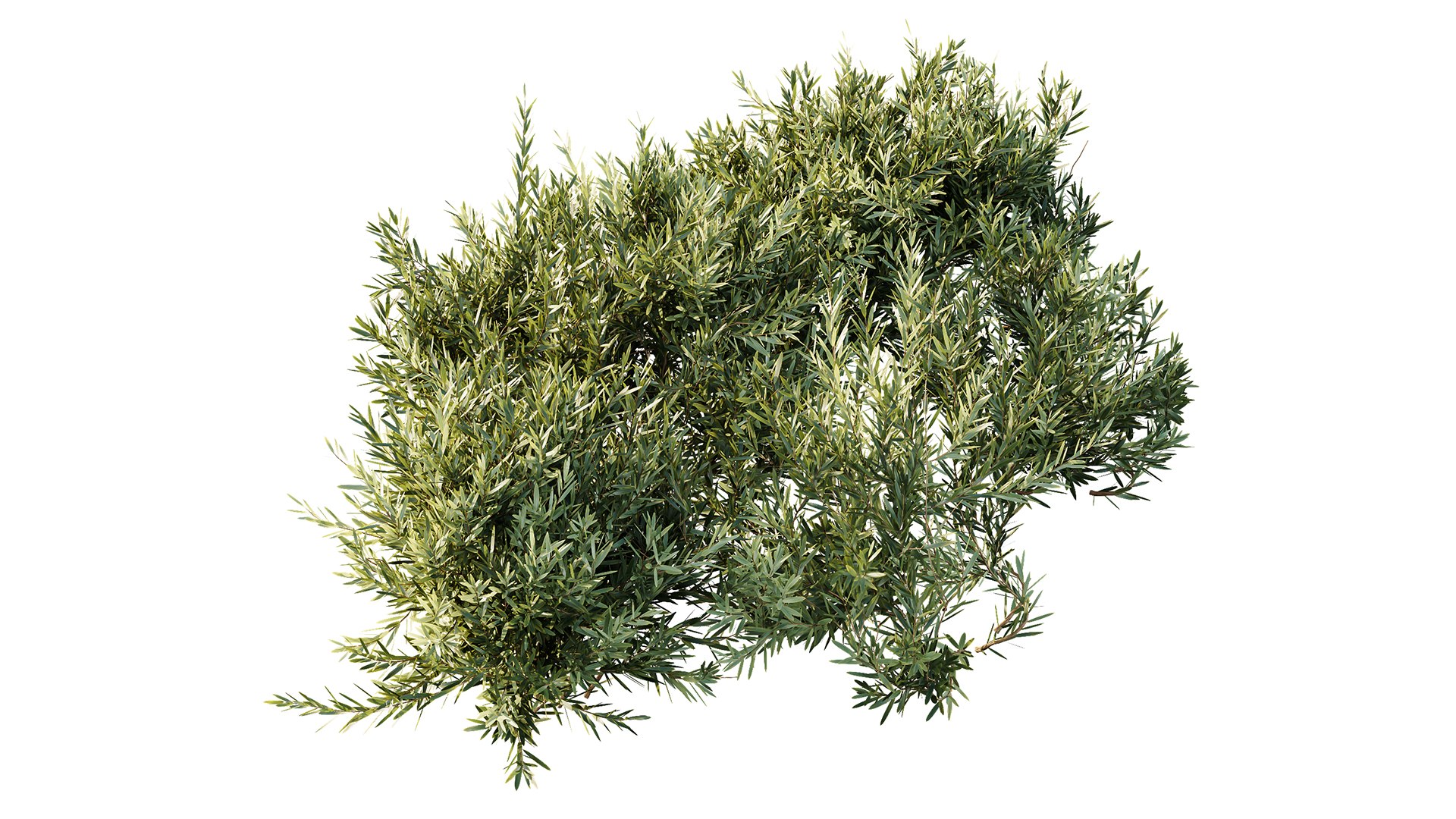 6 Different SETS Of Bush SET VOL16 3D Model - TurboSquid 2154203