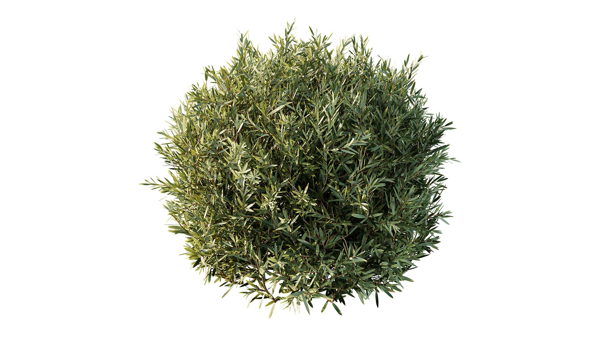 6 Different SETS Of Bush SET VOL16 3D Model - TurboSquid 2154203