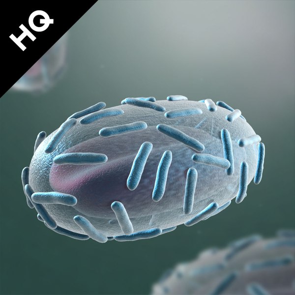3d model influenza virus