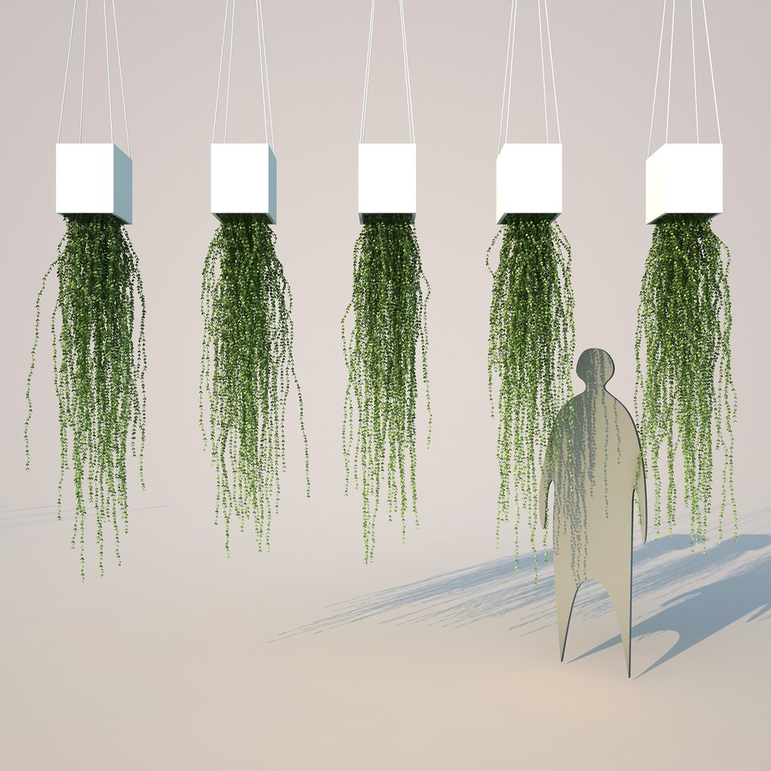 3d Plants