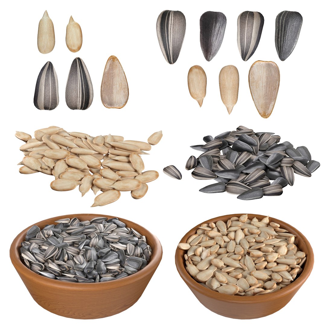 Sunflower Seed Collection 3D Model - TurboSquid 2407982