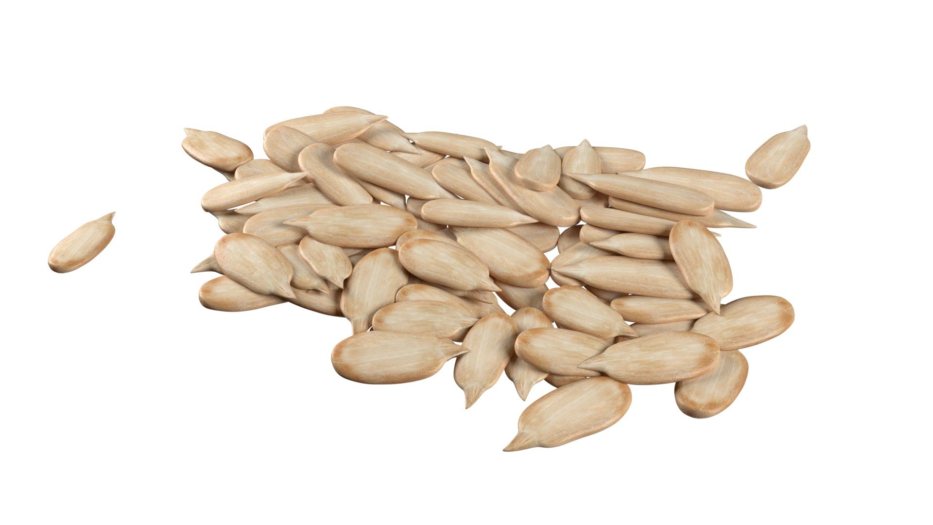 Sunflower Seed Collection 3D Model - TurboSquid 2407982