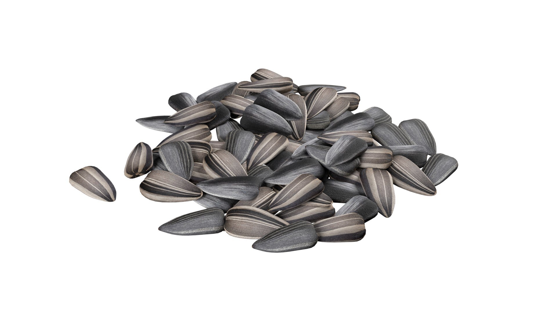 Sunflower Seed Collection 3D Model - TurboSquid 2407982
