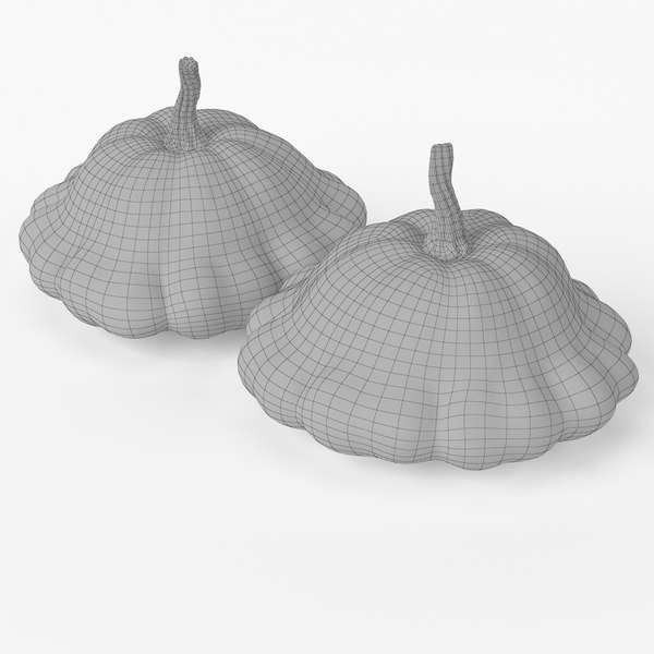 3d model realistic squash real