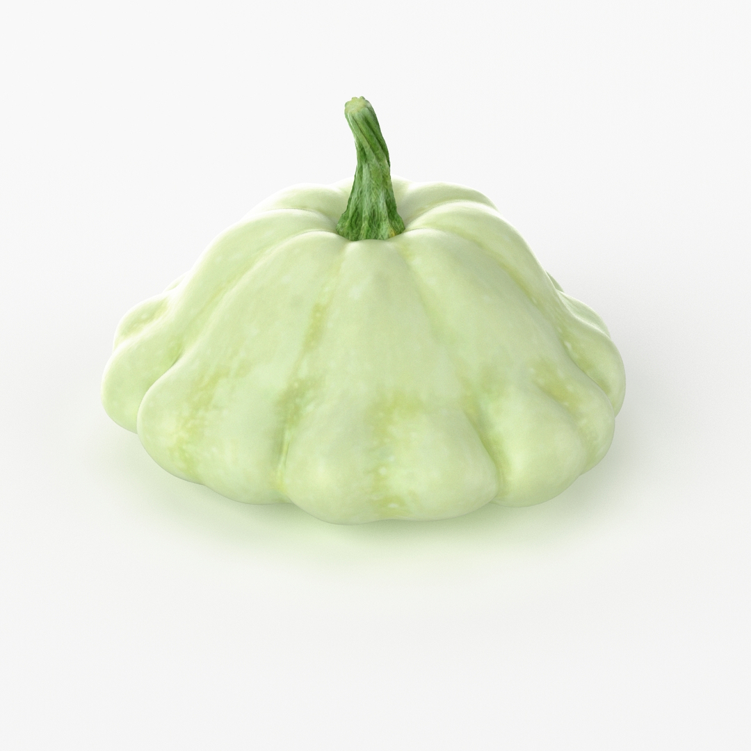 3d Model Realistic Squash Real