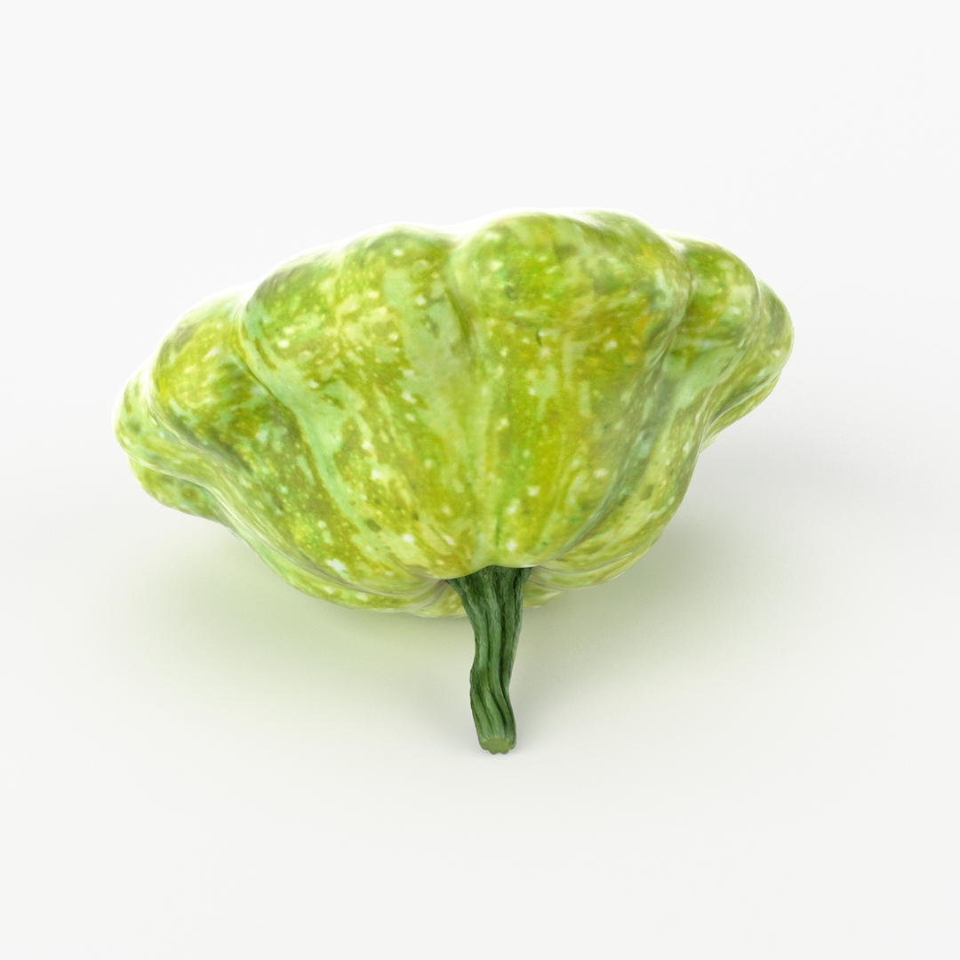 3d Model Realistic Squash Real