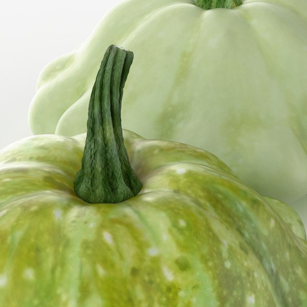 3d model realistic squash real