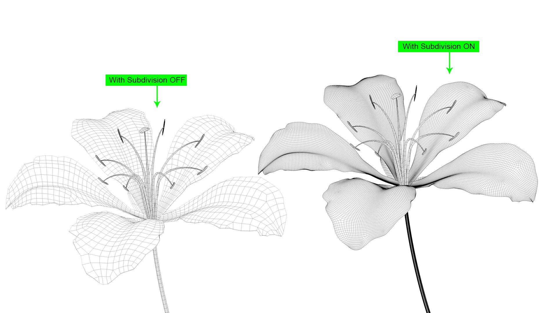 Animated Bauhinia Flower 3D Model - TurboSquid 2250638