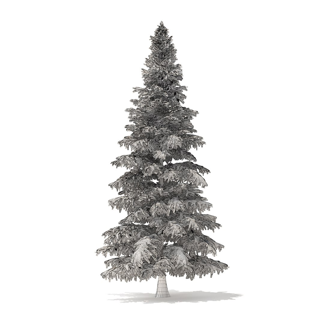 Spruce Tree Snow 8m 3D - TurboSquid 1273663